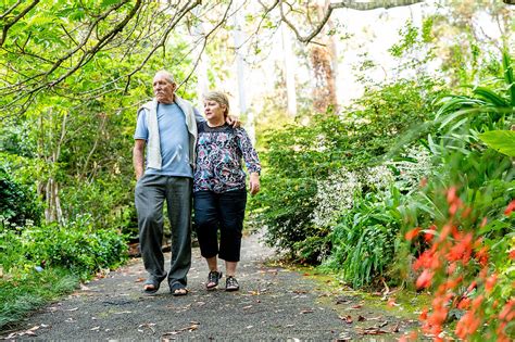 The Future Of Cognitive Decline Normal Aging And Dementia