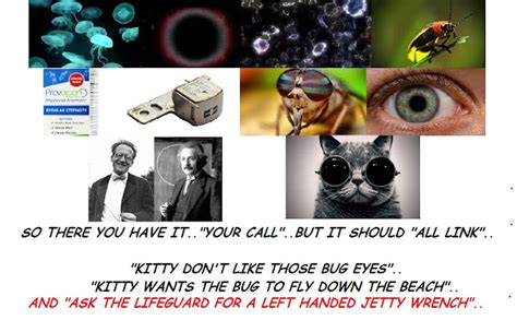 super string theory einstein unification theory robert leitz super