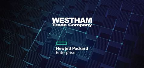 Hpe Msa Gen6 Hybrid Storage Westham Trade