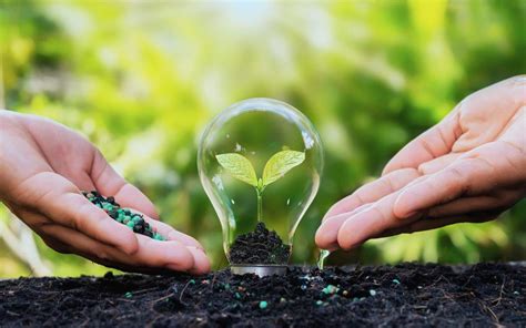 ¿qué Es El Emprendimiento De Triple Impacto Ejemplo Y Pilares