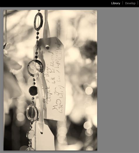 Colour Mismatch Between Lr And Ps V 2021 Adobe Product Community 11554118