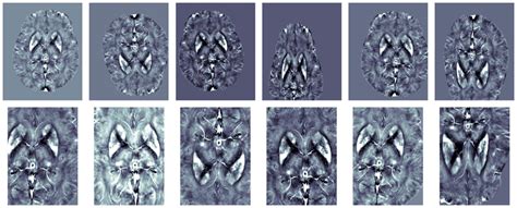 Sample Outputs Of The Data Augmentation Pipeline To Create New Images