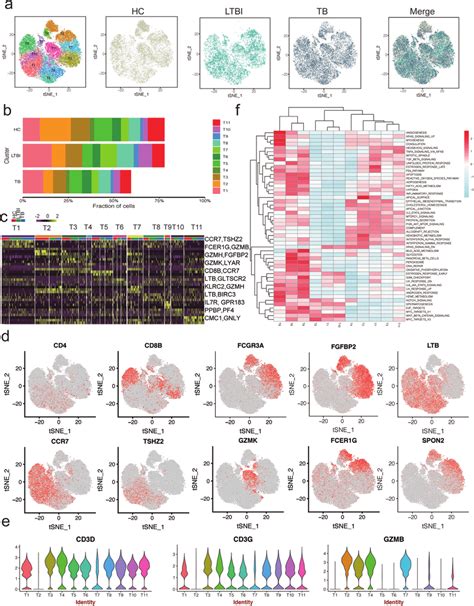t cell clusters in pbmc from hc ltbi and tb a tsne of single cell