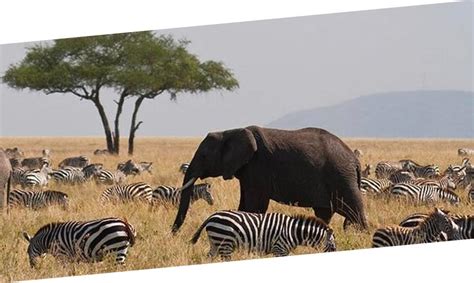 everything you need to know about postgresql v15 2 zebanza