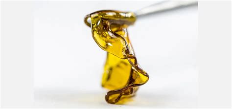 What Is Co2 Extraction Cannabis Glossary Gaanja Heal