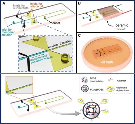 Publications Micro Nano Particles