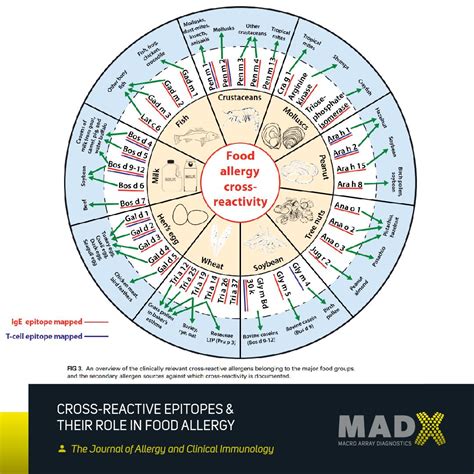 Krishna Tripathi On Linkedin About Food Allergy Cross Reactivity