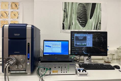 Desktop Sem Scanning Electron Microscope Compact