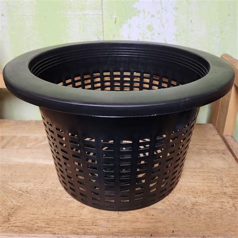 Net Pot 10 Greenbarnorchid