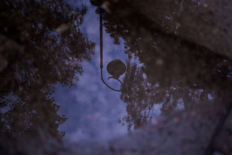 Reflection In The Puddle Freestocks Org Free Stock Photo
