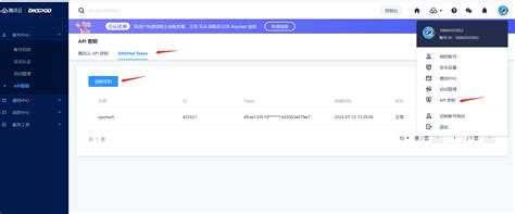 openwrt旁路由如何设置动态dns 腾讯云开发者社区 腾讯云