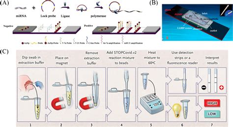 Sensitivity Enhancement Based On Isothermal Nucleic Acid Amplification Download Scientific
