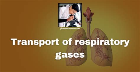 Transport Of Respiratory Gases Pharmaacademias