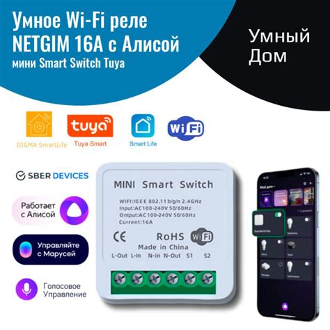 Умное реле с Алисой Яндекс Netgim Tuya Wifi 16А умный дом голосовое управление купить с