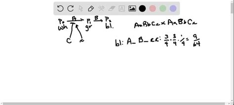 ⏩solved consider the following hypothetical scheme of determination
