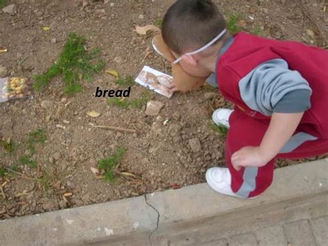 PPT Bread PowerPoint Presentation Free Download ID