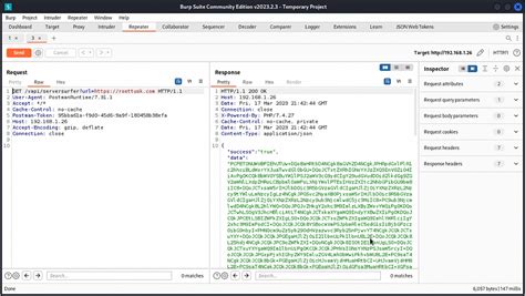 Owasp Api Testing Guide A Visual Guide To Owasp Api Testing With Vapi