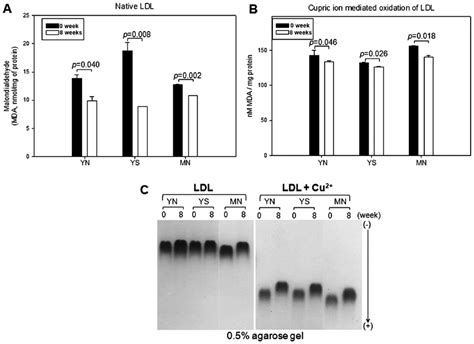 Comparison Of Low Density Lipoprotein Ldl Oxidation Extent During