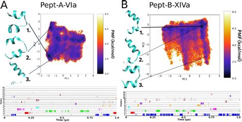 reweighted free energy landscape plots of a pept a via 16 clusters