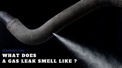 What Is The Smell Like Gas At Kayla Frayne Blog