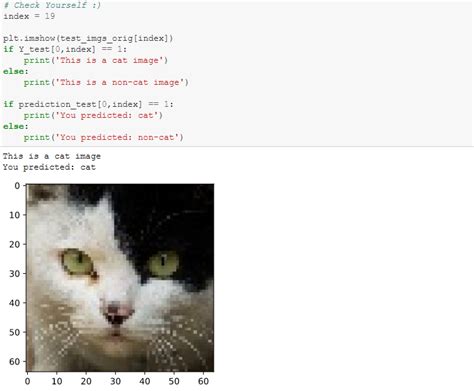 Github Amiralisajadiimage Classification Neural Network Custom Deep