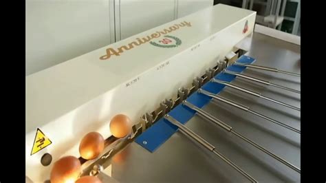 EggDetection Object Detection Dataset And Pre Trained Model By Nicolas Hadjisavvas