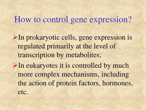 PPT Regulation Of Gene Expression PowerPoint Presentation Free Download ID 2914424