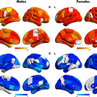 Study Design And Analysis Flow Chart FC Functional Connectivity DC Download Scientific Diagram