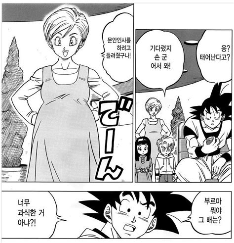 드래곤볼 치치 욕하던 어린이들이 나이먹고 치치를 재평가한 이유 유머 움짤 이슈 에펨코리아