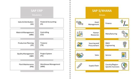 Sap S4hana Definition Architecture Modules Functions Firnkorn And Stortz Sap S4hana Definition Architecture Modules Functions Firnkorn And Stortz