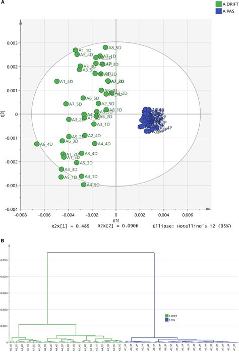 Essential Ftir Software Babebopqe