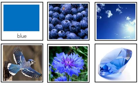 Color Sorting Cards Pdf Color Sorting Sorting Cards Color