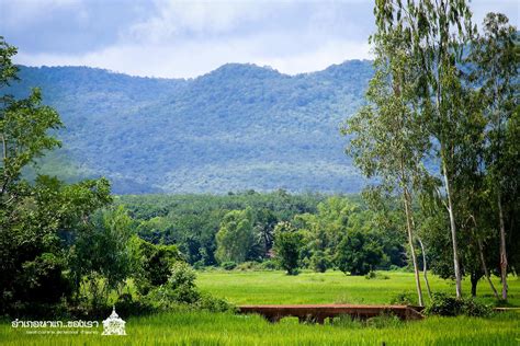 อำเภอนาแกของเรา ตำบลคำพี้ ทุ่งนาข้าวเขียวขจี สักการะ Facebook