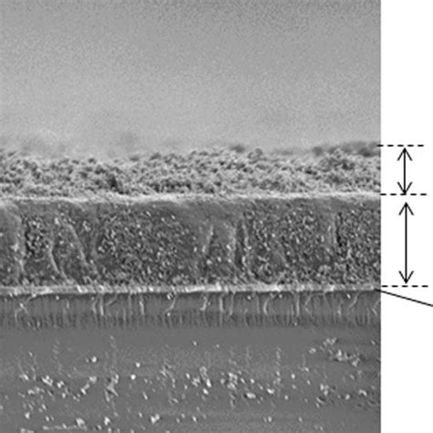 Sem Profile Of The Tio2 Photo Anode Download Scientific Diagram