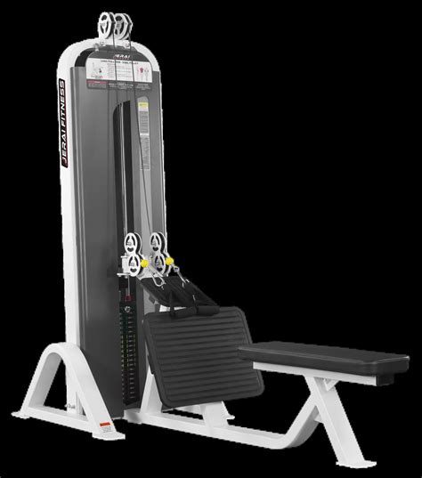 Shop Long Pull Row Machine For Home And Gym Dual Pulley
