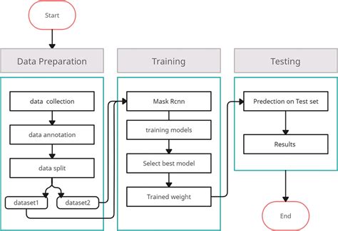 flowchart for development of an instance segmentation model for the