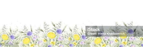 야생화 도라지 민들레 톱풀 초원 풀 손으로 그린 고립 된 수채화 Seamless 테두리 노란색 라일락 필드 꽃 녹색 얼룩 및 스플래쉬에 꽃 복사 공간이 있는 가로 배너 0
