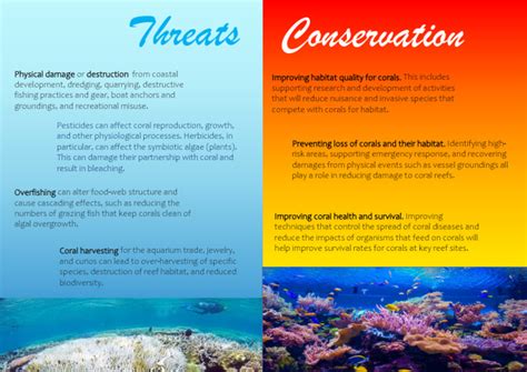 Science Class 10 Project Pdf