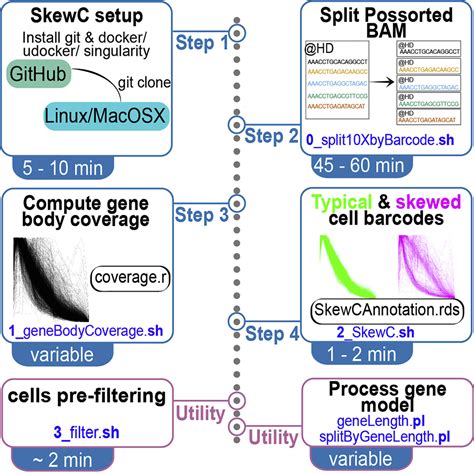 Cell Press: STAR Protocols