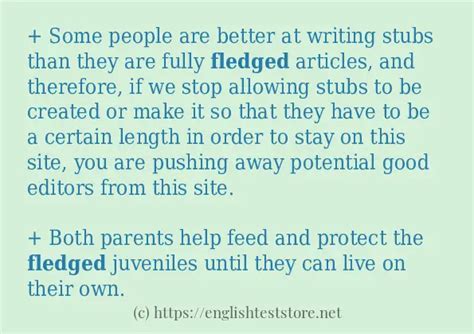 Fledged How To Use In Sentences EnglishTestStore Blog