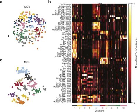 Task And Epoch Variances A Visualization Of The Task Variance Map Download Scientific Diagram