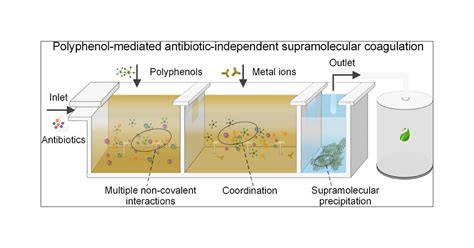 Efficient Removal Of Tetracyclines And Quinolones Enabled By Polyphenol