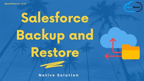 Salesforce Backup And Restore Apex Hours