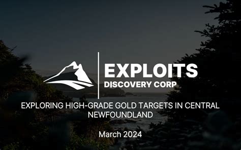 exploits discovery corp on linkedin exploitsgold miningnl gold
