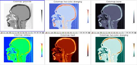 Scientific Visualization And Computer Graphics