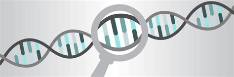 Cracking The Genetic Code Genomics Education Programme