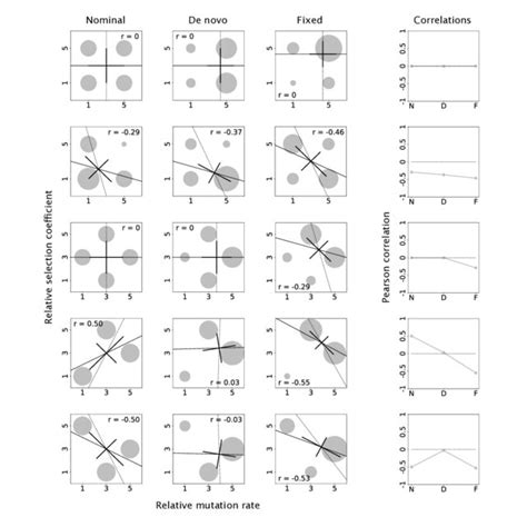 Correlations Of Mutation Rates And Selection Coecients Under Some