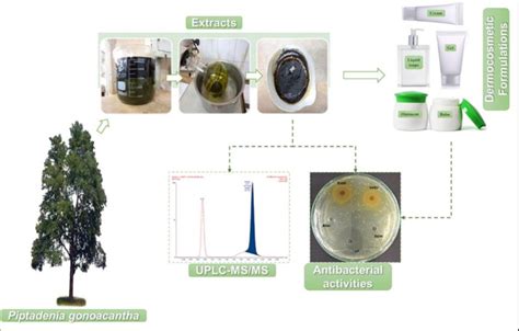 Antimicrobial Activity Of Dermocosmetic Formulations Based On Download Scientific Diagram