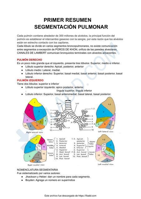 Segmentacion Pulmonar Sabrina Lara Udocz