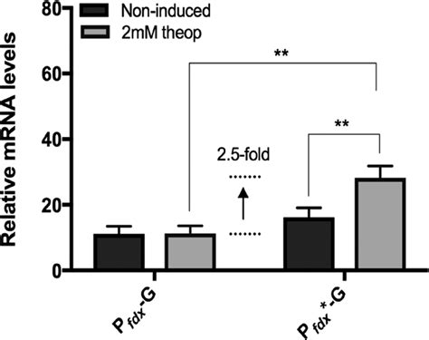 P Fdx G And P Fdx G Transcript Abundance Comparison Transcript Download Scientific Diagram